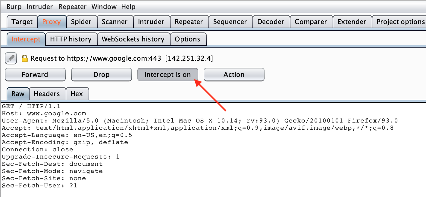 Basic Web Skills: Setting Up Burp Suite