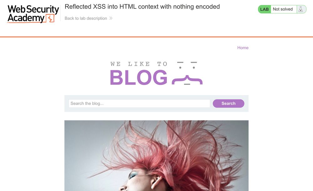 PortSwigger's "Reflected XSS into HTML context with nothing encoded ...