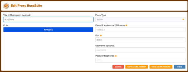 Basic Web Skills: Setting Up Burp Suite