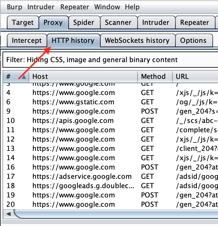 Basic Web Skills: Setting Up Burp Suite