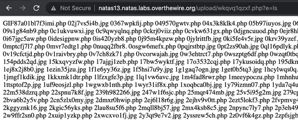 OverTheWire Natas Level 13 Walkthrough