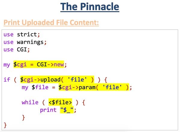 OverTheWire Natas Level 32 Walkthrough