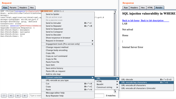 PortSwigger "SQL injection vulnerability in WHERE clause allowing ...
